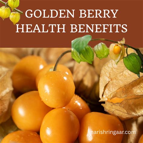 Golden Berry Benefits Boost Immunity Support Weight Loss And Enhance