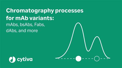 Chromatography Processes For Mab Variants Mabs Bsabs Fabs Dabs And More Youtube