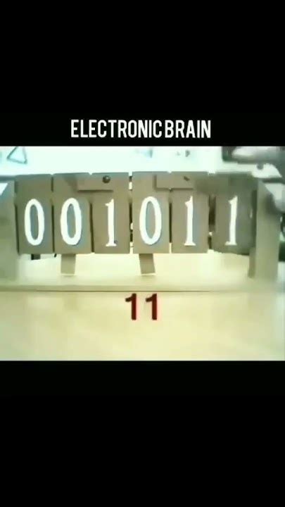 Binary Numbers 😅 Shorts Youtubeshorts Entertainment Funny Trending