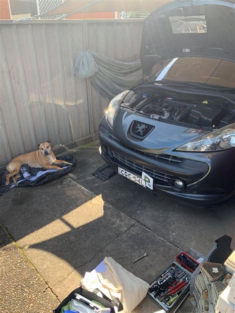 2007 Peugeot 207 Gti Niran52 Shannons Club