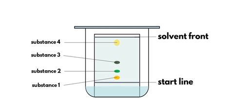 Paper Chromatography O Level Chemistry Notes Chem Not Cheem