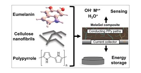Noah Al Shamery On Linkedin Melanin And Polypyrrole Coated Nanocellulose Hydrogel Networks For…