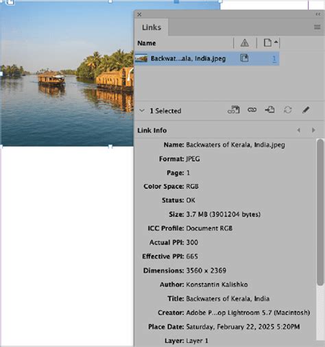 Troubleshooting Adobe Creative Cloud Services