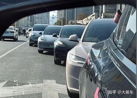 “邪恶大鼠标、捣蛋蛤蟆”，路上遇到过吗？ 知乎