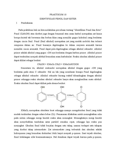 fenol dan ester prak 10 rifa pdf