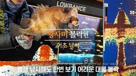 여수 금오도 어초공략 왕볼락을 쉽게 낚는 외줄 카드채비 낚시 Youtube