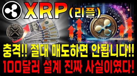 리플코인 Xrp코인 전망 🔴긴급속보🔴 엑스알피 단한개도 매도하지마세요 100달러 설계 진짜 사실이였다 리플 리플