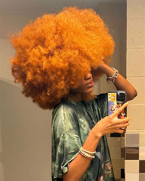 Pin By D Baldwin On Brush Out Afro Hair Inspiration Afro Hair Color