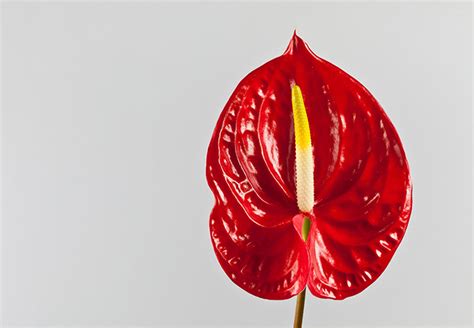 th wp content uploads 2017 06 blog img 21