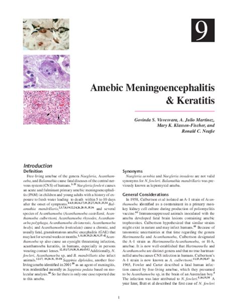 Pdf Amebic Meningoencephalitis And Keratitis