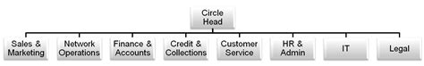 Organizational Structure Of A Telecom Company
