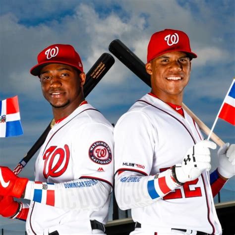 The Dominican Baseball Experience Where Dreams Meet Dominican Diamonds
