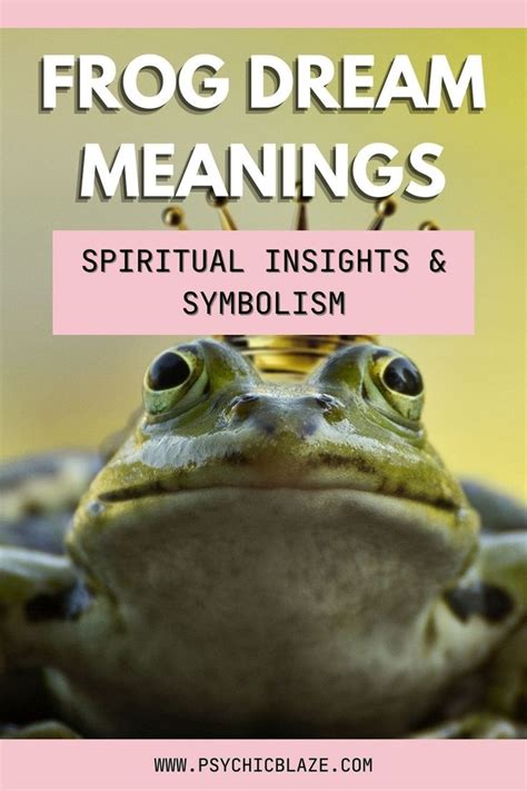 Spiritual Meaning Of Frog In A Dream 60 Photos