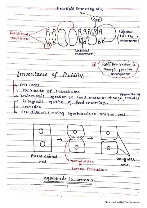 SOLUTION Biology Cell Class Th Notes Studypool