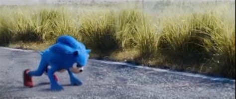 Sonic Movie Ccxp By Frozenfruit78 On Deviantart