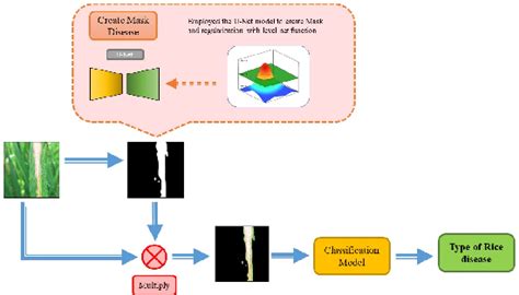 Figure 1 From Rice Diseases Detection And Localization With Only Image