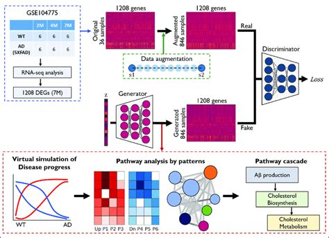 Overview Of The Application Of The Gans To Bulk Rna Seq Data Rna Seq Download Scientific