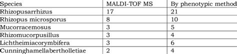 Identification Of Species By Routine Method And Maldi Tof Ms Download Scientific Diagram