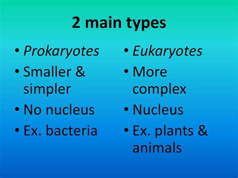The Cell Spi Ppt Download