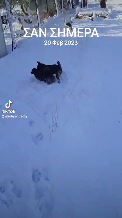 Ruby And Ruxy Sweet Youtube