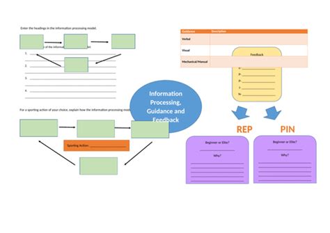 Aqa 9 1 Gcse Pe Revision Learning Mat Information Processing Guidance And Feedback Teaching