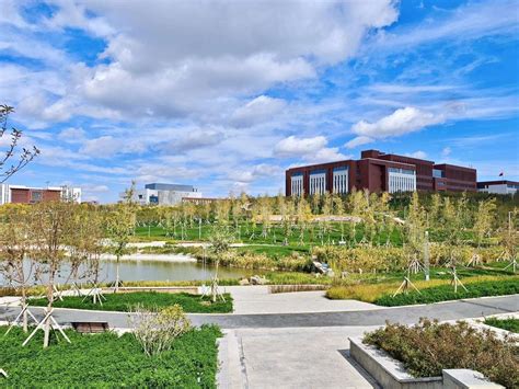 Xinjiang University Admission Ranking And Tuition Apply For China