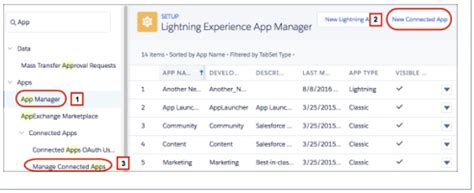 How To Create A Connected App In Salesforce Salesforce Next Gen