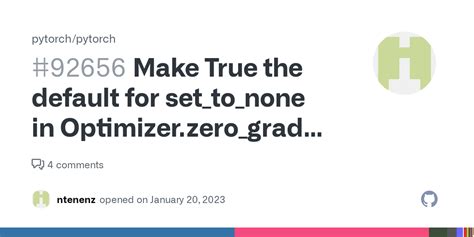 make true the default for set to none in optimizer zero grad for 2 0