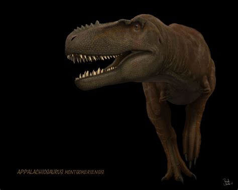 Appalachiosaurus Montgomeriensis By Frank Lode On Deviantart