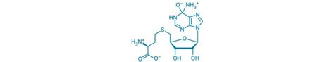 Predicting Protein Function