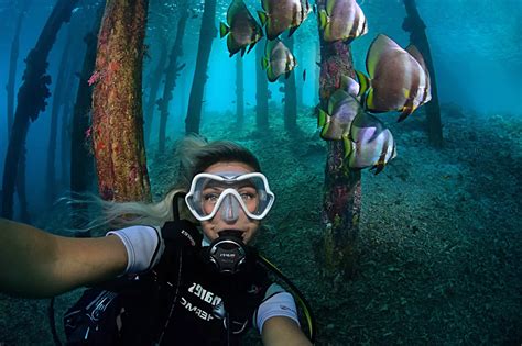 Raja Ampat Diving Liveaboard Trips Best Scuba Tours 2025
