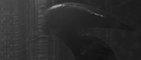 Deacon Sighting Alien Covenant Fan Art Images