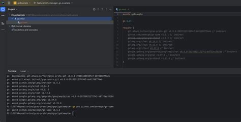 Mt5 Manager Grpc Api Go Language Client Example