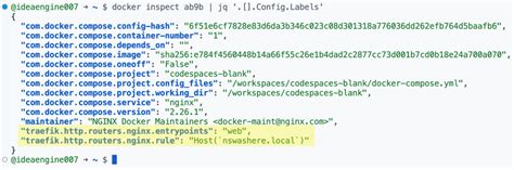 Leaky Labels Bypassing Traefik Proxy Leveraging CAdvisor Metrics Trend Micro US