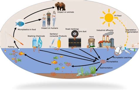 Matter The Company That Aims To Stop Microplastic Pollution With