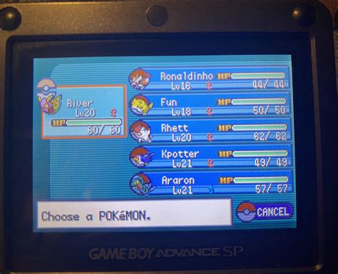 Here Is My Team After Beating Misty In My Nuzlocke In Pokémon My Ass
