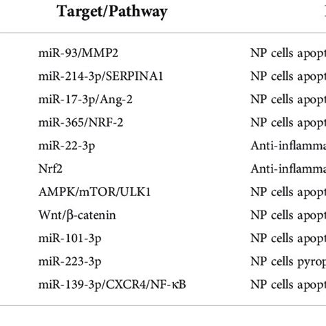 The Roles Of Mirnas In The Development Of Idd Download Scientific