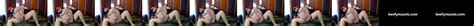 Stocky Bear Jerk Off Cum Thick Cock Free Gay Porn C XHamster