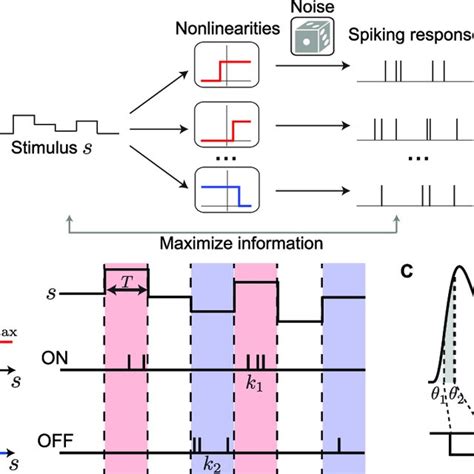 Neuron Model And Population Coding Framework A Framework Schematic A