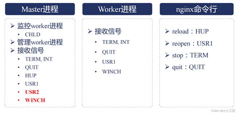 重识nginx 15 使用信号管理nginx的父子进程 腾讯云开发者社区 腾讯云