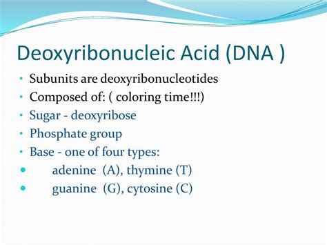 Dna Structure And Replication Ppt Download