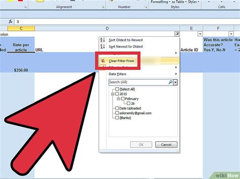 Comment Insérer Un Filtre Dans Excel 8 étapes