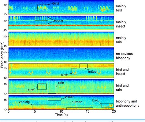 Figure 2 From Vggish Based Detection Of Biological Sound Components And