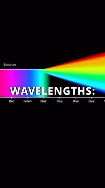 The Color That Doesn’t Really Exist😳 #factshorts - YouTube