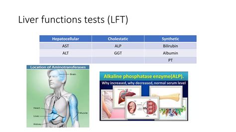 Abnormal Liver Function Tests Pptx