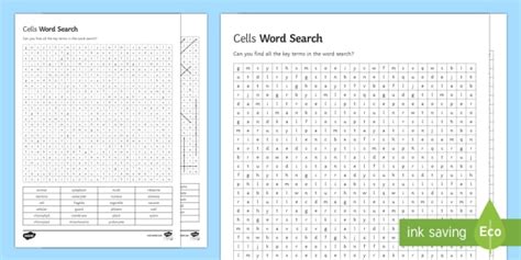 Cells Word Search Teacher Made
