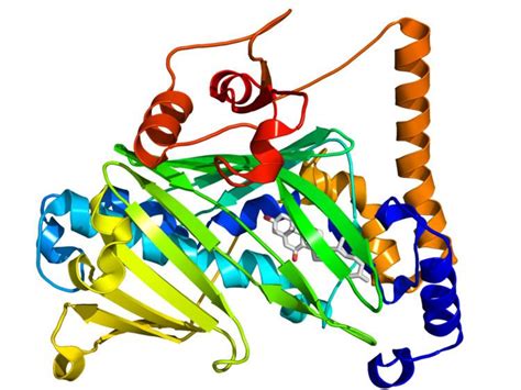 Oxysterol Binding Protein Alchetron The Free Social Encyclopedia