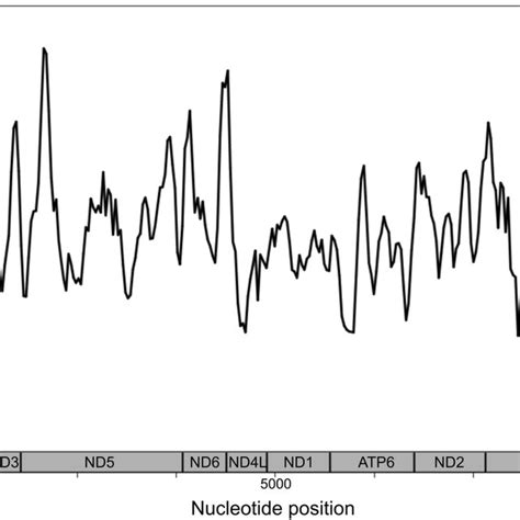 Nucleotide Diversity Pi Across 12 Concatenated Mitochondrial