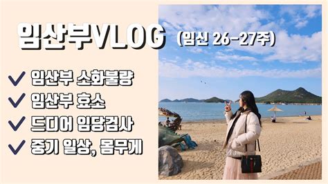 임산부브이로그 임신 26 27주 일상 임당검사 임신중기증상 임산부속쓰림 임산부 효소 임산부영양제 몸무게 공유 임산부펌 Youtube