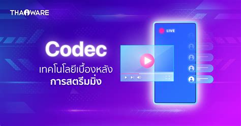 codec คืออะไร ทำงานอย่างไร และ codec มีกี่ประเภท